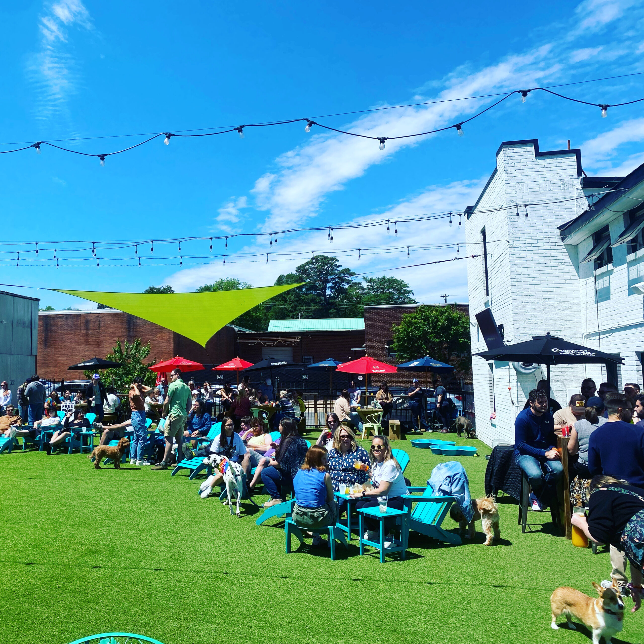 Home - Bark Bar & Grille: Little Rock's Best Restaurant & Bar with a ...